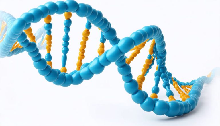 Is Muscle Growth in Your Genes? The Truth About Genetics and ...